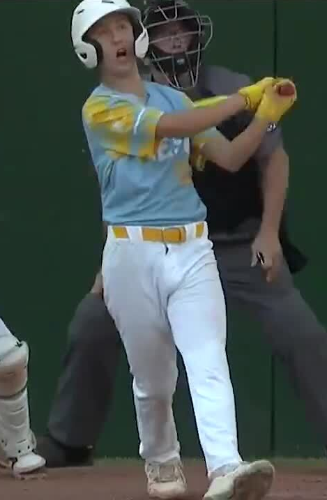 Big Dawg Bat Rolling: Expert Bat Performance Enhancement – Big Dawg Bats